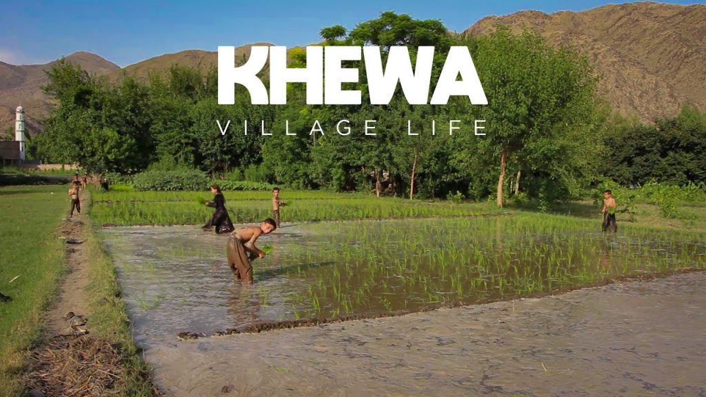 Khewa muhabbat pur mandi bahauddin - village khewa - khewa village